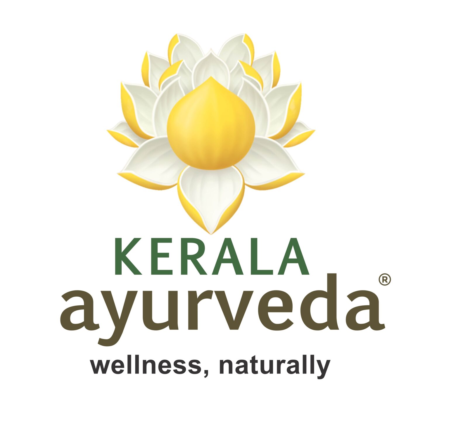 Top 10 Ayurvedic Companies In India